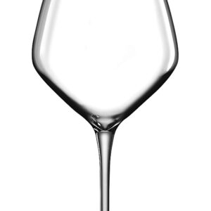 Luigi Bormioli Atelier Pinot Noir Wine Glass, 20-5/8-Ounce, Set of 6