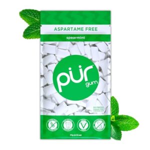 pur gum | aspartame free chewing gum | 100% xylitol | natural spearmint flavored gum, 55 pieces (pack of 1)