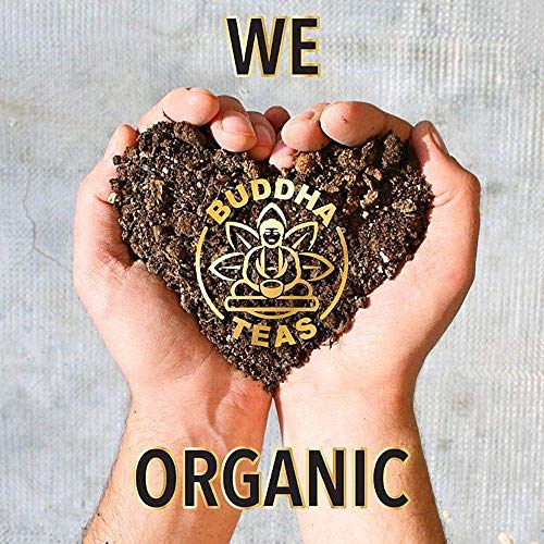 Buddha Teas Organic Milk Thistle Tea - OU Kosher, USDA Organic, CCOF Organic, 18 Bleach-Free Tea Bags