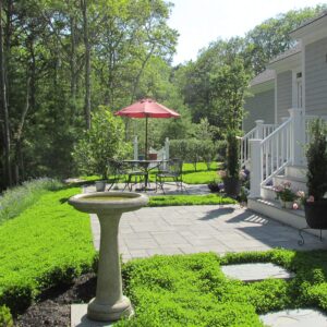 outsidepride 2 lb. perennial white miniclover dwarf, small leaved, lawn clover & ground cover seeds