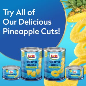 Dole Canned Fruit, Pineapple Slices in 100% Pineapple Juice, Gluten Free, Pantry Staples, 20 Oz, 12 Count, Packaging May Vary