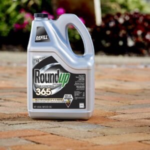 Roundup 5000710 Ready-to-Use Max Control 365 Refill, 1 Pack,