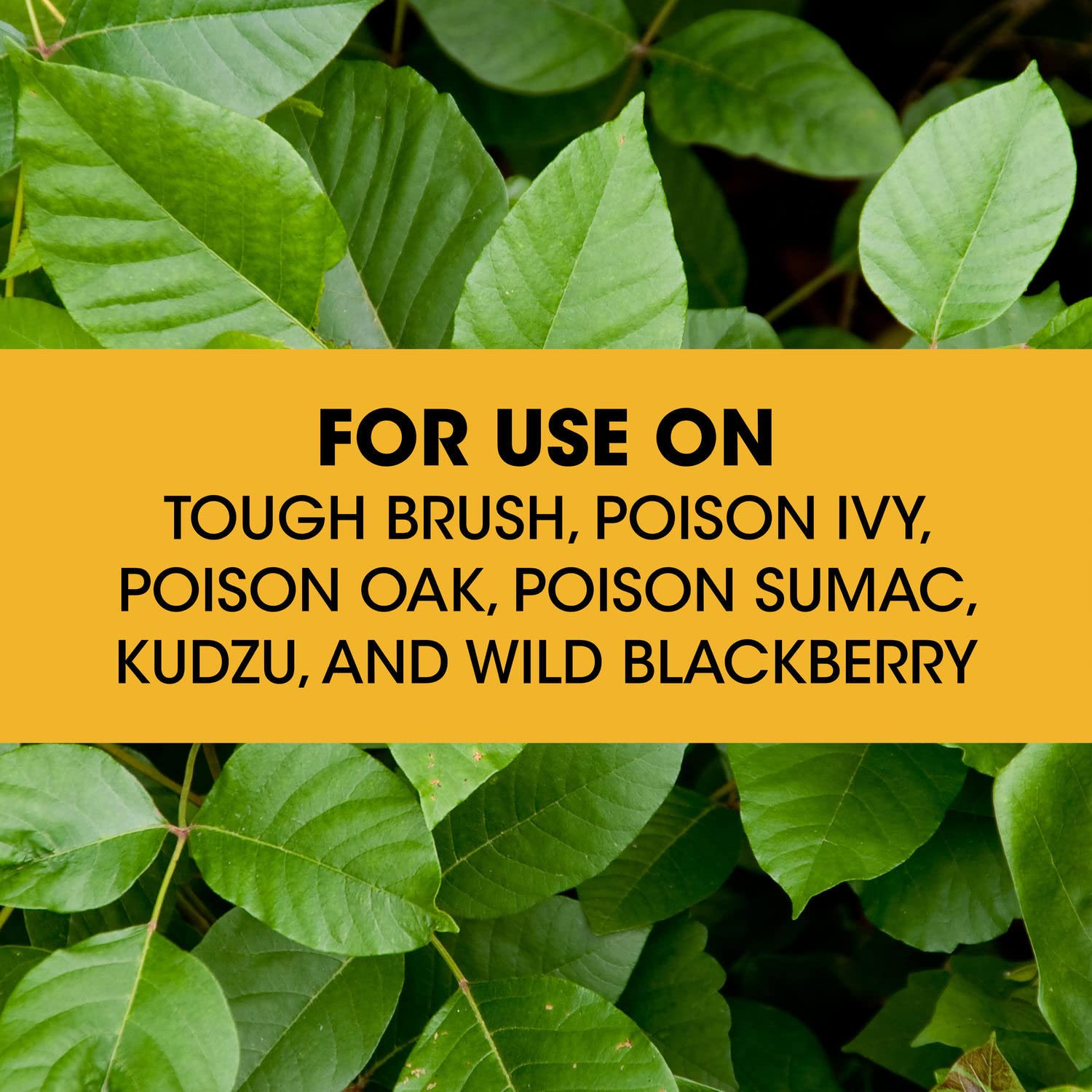 Roundup Ready-To-Use Poison Ivy Plus Tough Brush Killer for Weeds, Grass, Stumps and Vines, Comfort Wand, 1.33 gal.