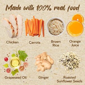 Real Food Blends Chicken, Carrots & Brown Rice - Pureed Food Meal for Feeding Tubes, 9.4 oz Pouch (Pack of 12 Pouches)