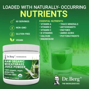 Dr. Berg's Wheatgrass Superfood Powder - Raw Juice Organic Ultra-Concentrated Rich in Vitamins and Nutrients - Chlorophyll and Trace Minerals - 60 Servings - Gluten-Free Non-GMO - 5.3 oz (1 Pack)