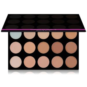 SHANY The Masterpiece 15 Color Foundation, Concealer, Camouflage Palette - TONED