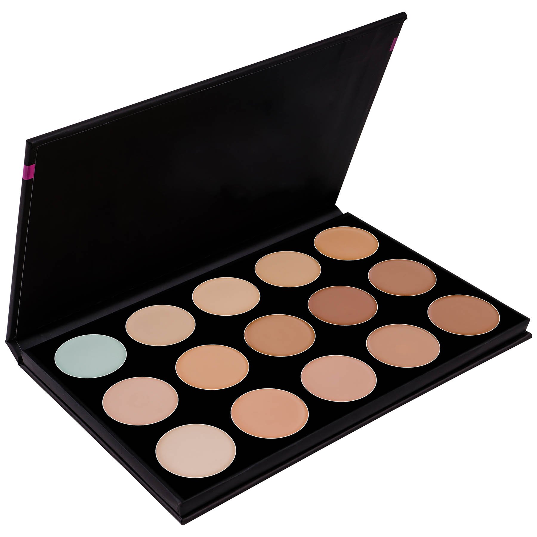 SHANY The Masterpiece 15 Color Foundation, Concealer, Camouflage Palette - TONED