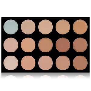 SHANY The Masterpiece 15 Color Foundation, Concealer, Camouflage Palette - TONED