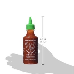 Huy Fong, Sriracha Hot Chili Sauce, 9 Ounce Bottle