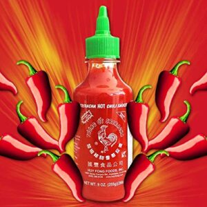 Huy Fong, Sriracha Hot Chili Sauce, 9 Ounce Bottle