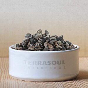 Terrasoul Superfoods Raw Organic Cacao Nibs, 2 Lbs (2 Pack) - Raw | Keto | Vegan