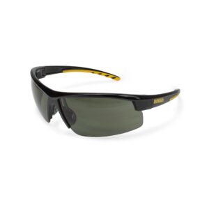 DEWALT DPG99-2PC Safety Glasses, Multicolor