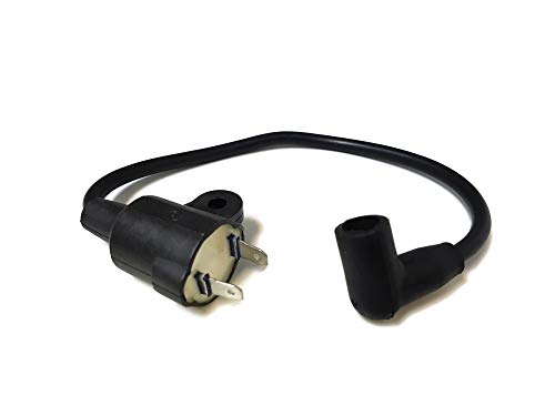 Ignition IGN Coil Assy for Yamaha ET950 ET650 ET 950 ET 650 650 W 950 W 2-Stroke Generator Engine Motor