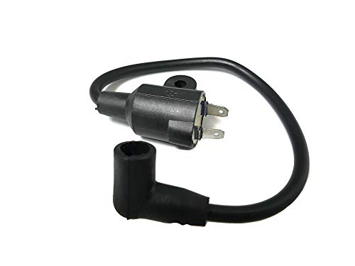 Ignition IGN Coil Assy for Yamaha ET950 ET650 ET 950 ET 650 650 W 950 W 2-Stroke Generator Engine Motor