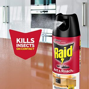 Raid® Ant & Roach Killer Spray, Fragrance-Free, 17.5 Oz, Pack Of 2