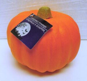 carvable foam pumpkins, 6" no mess ever lasting