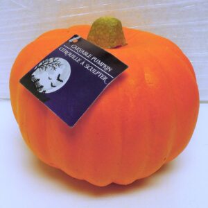 Carvable Foam Pumpkins, 6" No Mess Ever Lasting