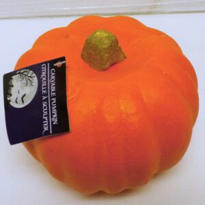 Carvable Foam Pumpkins, 6" No Mess Ever Lasting