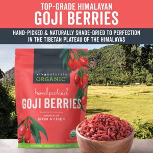 Organic Dried Goji Berries - Non-GMO and Vegan Goji Berries Organic, Perfect for Baking, Teas and Snacks for Adults (1 lb)