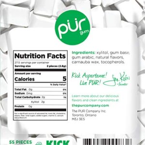 PUR Gum Spearmint, 55Count, 3 Pack