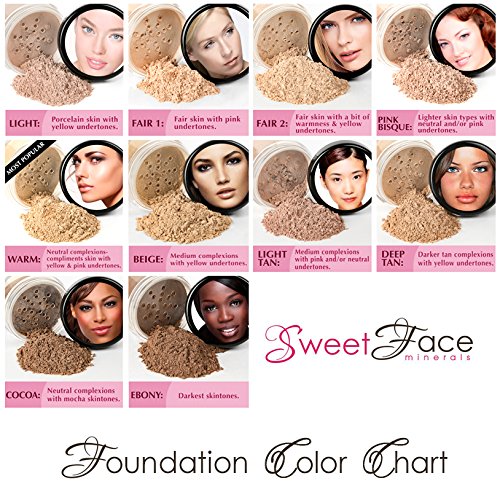 CONCEALER with BRUSH SET Full Size Mineral Makeup Powder Kit Sheer Bare Skin SPF 20 (Light Concealer)