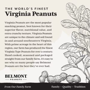 Belmont Peanuts Gourmet Sea-Salted Virginia Peanuts, 20 oz (Pack of 1) | Only 3 Simple Ingredients, No Preservatives, 7g Protein | A Premium, Salty, Crunchy, Hand-Seasoned, Peanut Snack