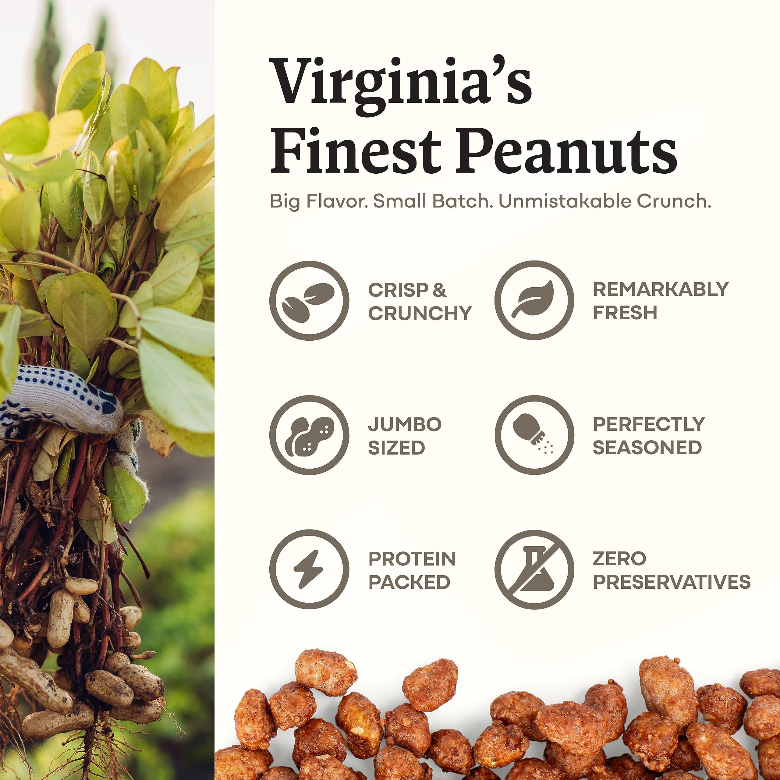 Belmont Peanuts Gourmet Sea-Salted Virginia Peanuts, 20 oz (Pack of 1) | Only 3 Simple Ingredients, No Preservatives, 7g Protein | A Premium, Salty, Crunchy, Hand-Seasoned, Peanut Snack