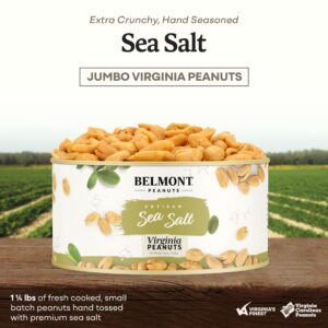 Belmont Peanuts Gourmet Sea-Salted Virginia Peanuts, 20 oz (Pack of 1) | Only 3 Simple Ingredients, No Preservatives, 7g Protein | A Premium, Salty, Crunchy, Hand-Seasoned, Peanut Snack