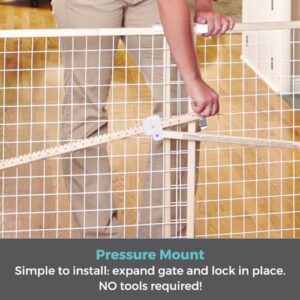 Toddleroo by North States Quick Fit Wire Mesh Wooden Baby Gate: 29.5"- 50" Wide. Pressure Mounted Baby Gate for Doorway. Tension Lever For Quick Custom Fit. (31" Tall, Sustainable Hardwood)