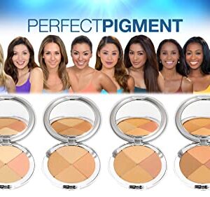 Christina Cosmetics Perfect Pigment 2 Compact: One Minute Miracle Makeup