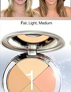 Christina Cosmetics Perfect Pigment 1 Compact: One Minute Miracle Makeup