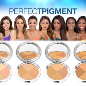 Christina Cosmetics Perfect Pigment 1 Compact: One Minute Miracle Makeup