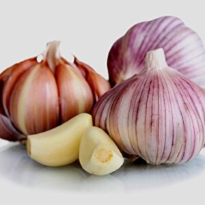 Garlic Bulb (10 Pack), Fresh Siberian HARDNECK Garlic Bulb for Planting and Growing Your OWN Garlic OR Eating