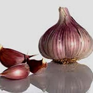 Garlic Bulb (10 Pack), Fresh Siberian HARDNECK Garlic Bulb for Planting and Growing Your OWN Garlic OR Eating