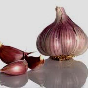 Garlic Bulb (6 Pack), Fresh Siberian HARDNECK Garlic Bulb for Planting and Growing Your OWN Garlic OR Eating