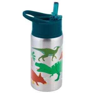 stephen joseph stainless steel water bottles, 18 oz, dino