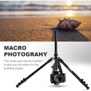 K&F Concept 64''/162cm DSLR Tripod,Lightweight and Compact Aluminum Camera Tripod with 360 Panorama Ball Head Quick Release Plate for Travel and Work B234A1+BH-28 (TM2324)