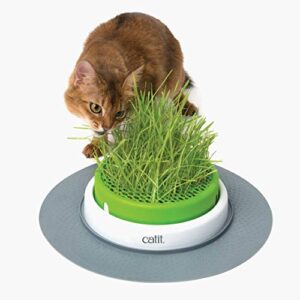 Catit Cat Toys Cat Grass Seeds (Set of 3)