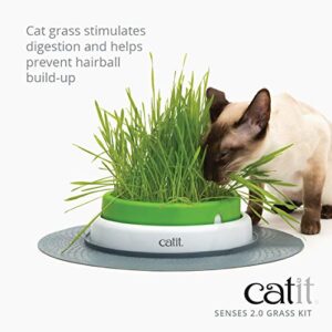 Catit Cat Toys Cat Grass Seeds (Set of 3)