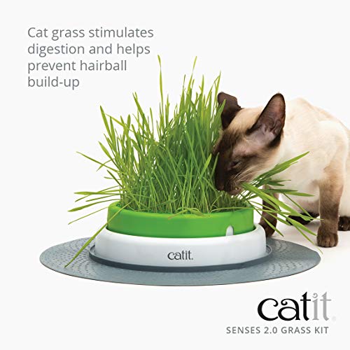 Catit Cat Toys Cat Grass Seeds (Set of 3)