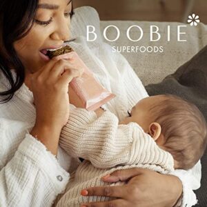 Boobie Bar Superfood Lactation 1.7 Ounce Bars Package May Vary, Oatmeal Chocolate Chip, 6 Count