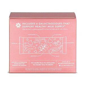 Boobie Bar Superfood Lactation 1.7 Ounce Bars Package May Vary, Oatmeal Chocolate Chip, 6 Count