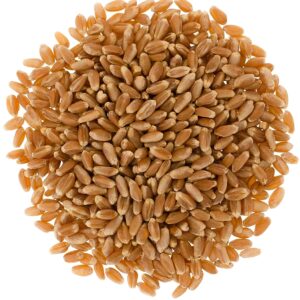 Hard Red Winter Wheat Berries | 5 LBS | Family Farmed in Washington State | Non-GMO Project Verified | 100% Non-Irradiated | Certified Kosher Parve | Field Traced | Burlap Bag