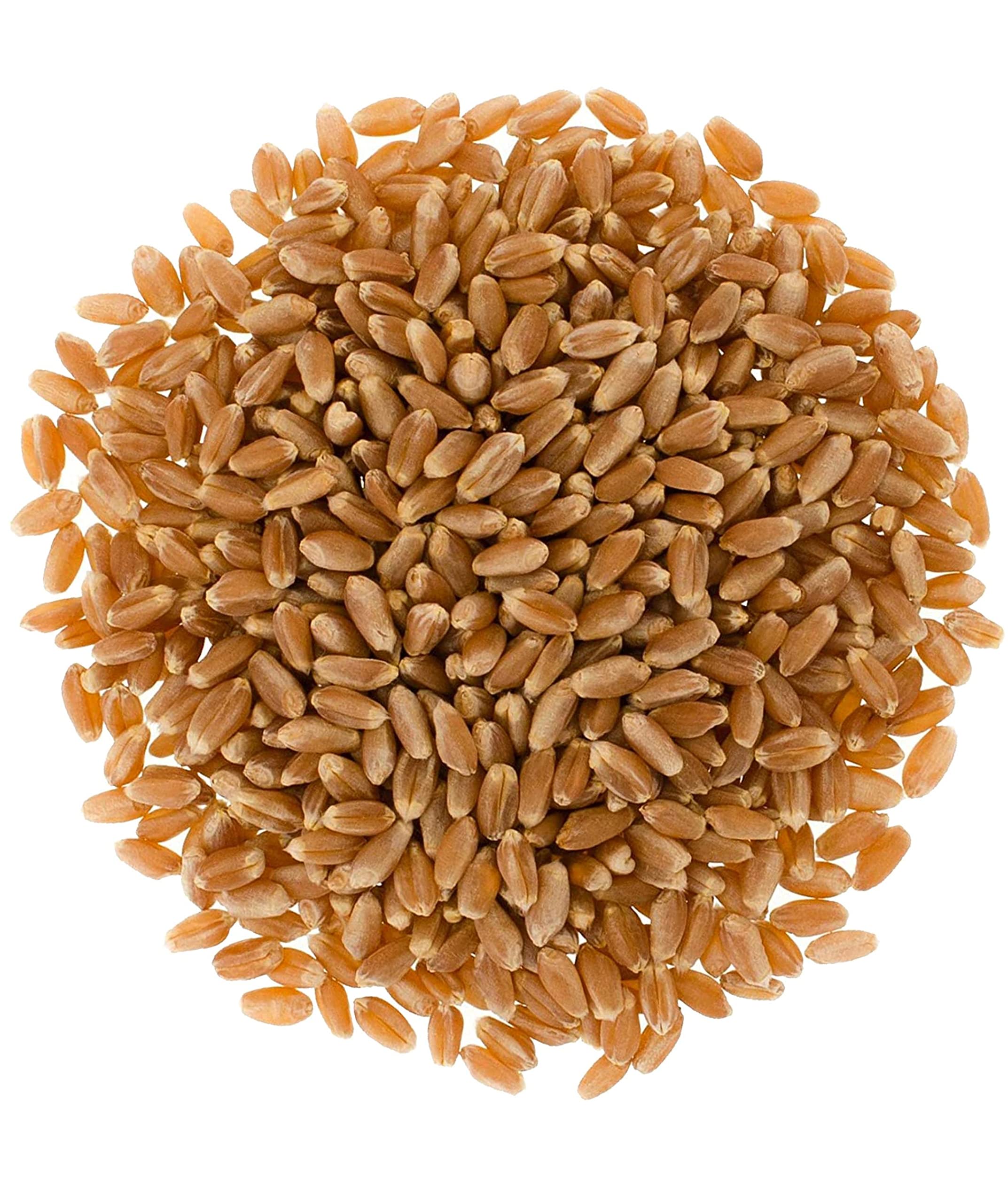 Hard Red Winter Wheat Berries | 5 LBS | Family Farmed in Washington State | Non-GMO Project Verified | 100% Non-Irradiated | Certified Kosher Parve | Field Traced | Burlap Bag