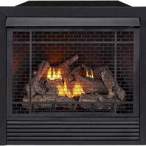 Duluth Forge Dual Fuel Ventless Gas Fireplace Insert, Remote Control, 9 Fire Logs, Use with Natural Gas or Liquid Propane, 32000 BTU, Heats up to 1500 Sq. Ft., Black