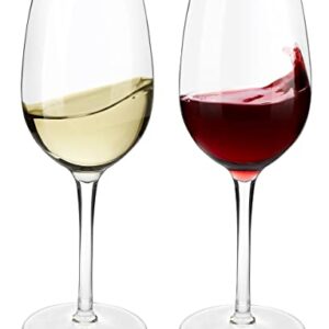 MICHLEY Unbreakable Red Wine Glasses, 100% Tritan Plastic Shatterproof Wine Goblets, BPA-free, Dishwasher-safe 12.5 oz, Set of 2