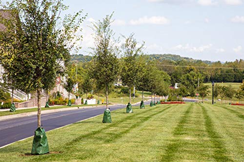 20 Gallon Slow-Release Tree Watering Bag