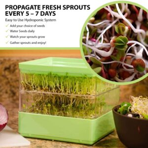 GARDENS ALIVE! Seed Sprouter Kit, Two Tier Stackable Seedling Starter Tray with Lid, Microgreens Propagator Mini Plant Grow Trays, Germinate Seeds Indoors, Healthy Snacks, Bean Sprouts, Soil Free