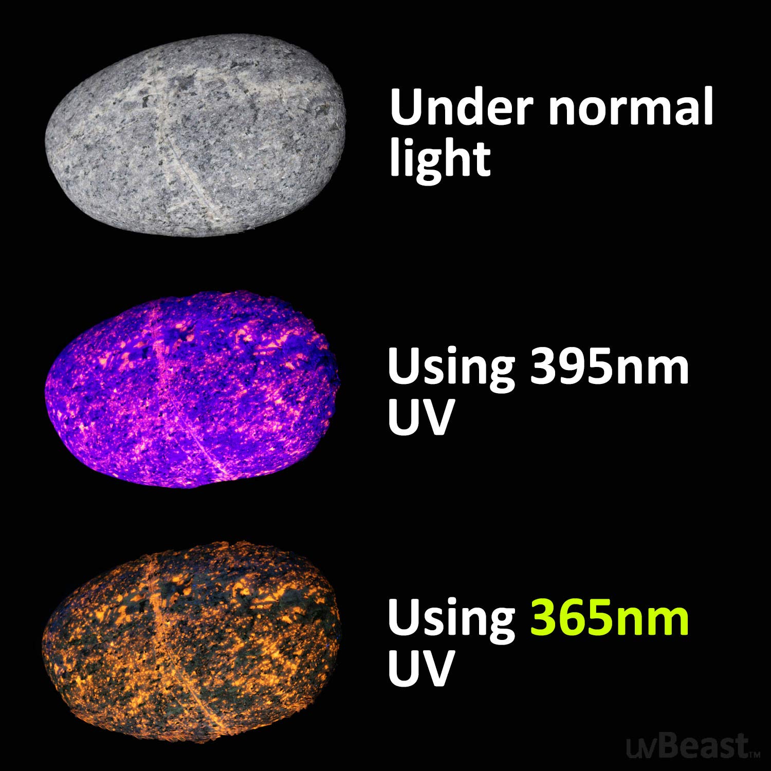 uvBeast New V3 365nm Black Light UV Flashlight – HIGH Definition Ultraviolet - HIGH Power and Long Range Professional Grade Beam Best for Professional/Commercial Use – USA Stock