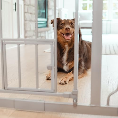 Carlson Extra Tall Walk Through Pet Gate with Small Pet Door, Includes 4-Inch Extension Kit, 4 Pack Pressure Mount Kit and 4 Pack Wall Mount Kit, Platinum, Gray